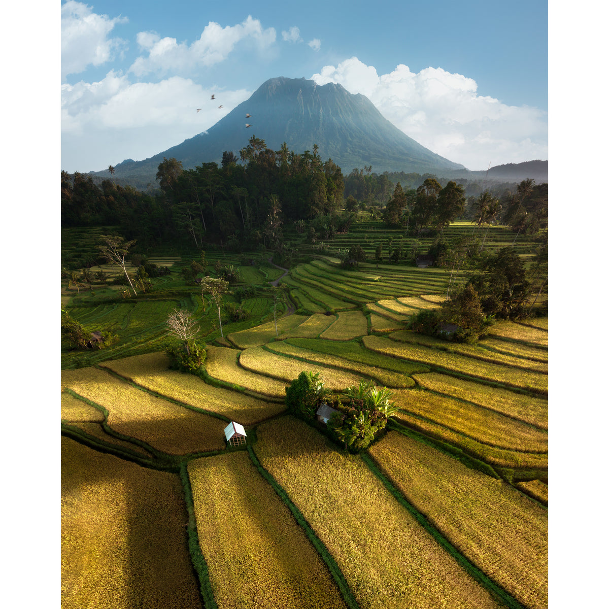 Sidemen Valley – Merr Watson Visuals