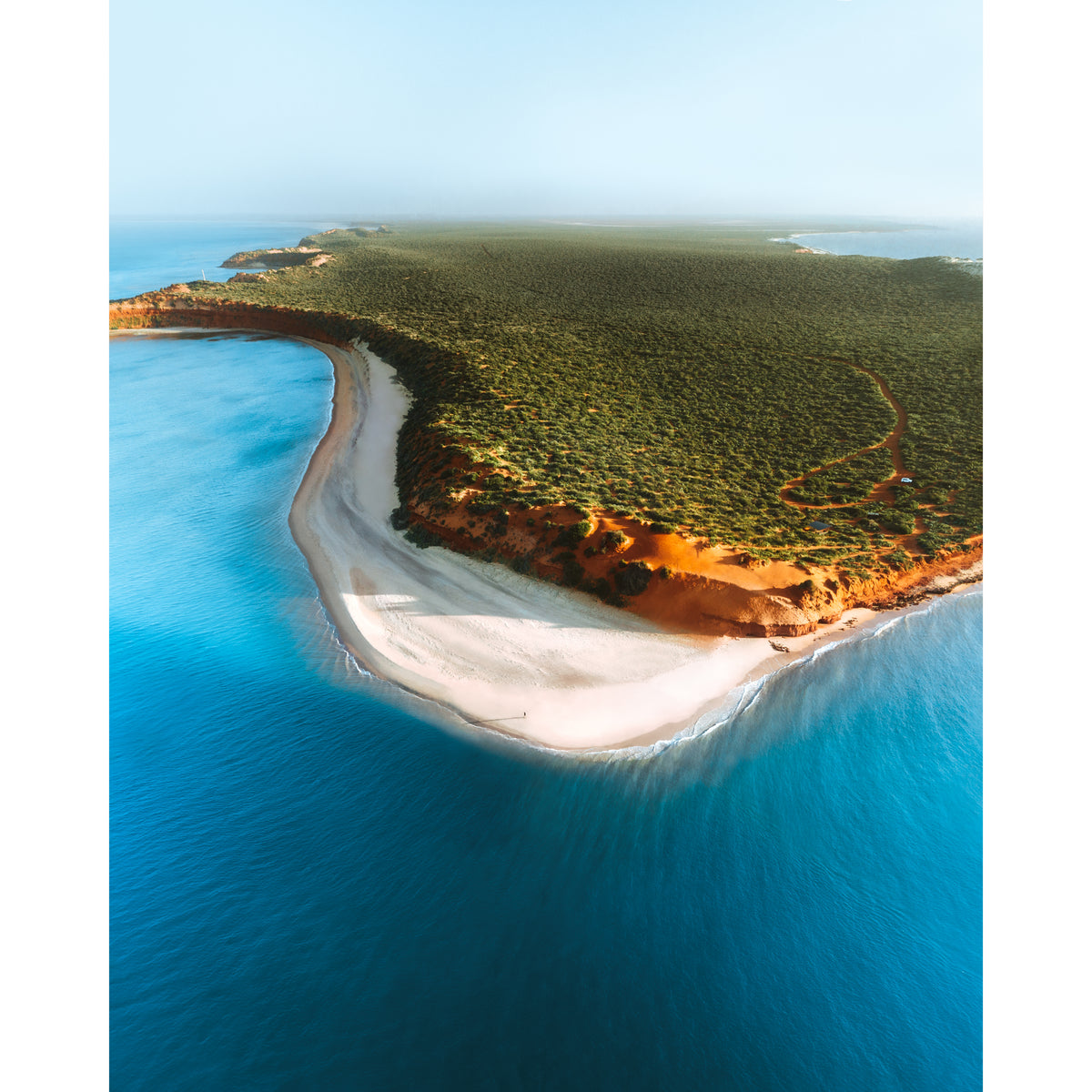 Shark Bay – Merr Watson Visuals