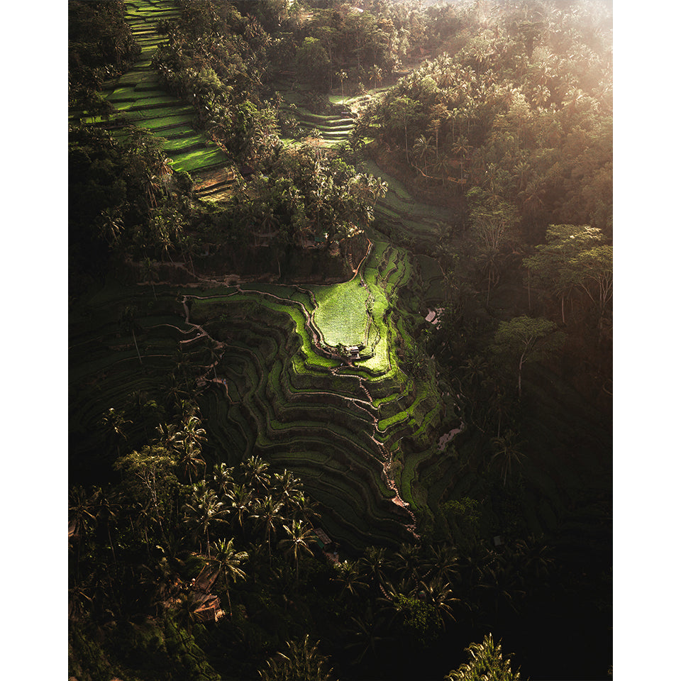 Tropical Terraces – Merr Watson Visuals